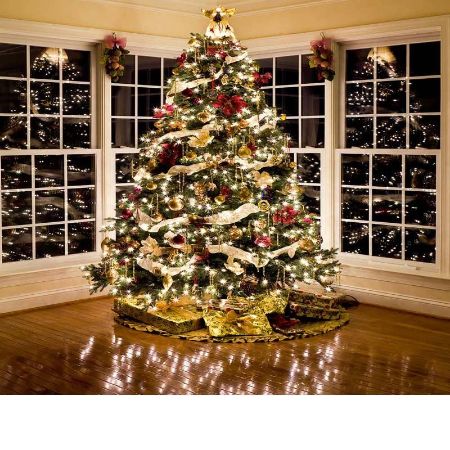 Christmas Lights Novelty Lights Novelty Lights LED Christmas Lights Patio Lights RGB Lights LED C7 C9 Holiday Lights Rope Lights Mini Lights