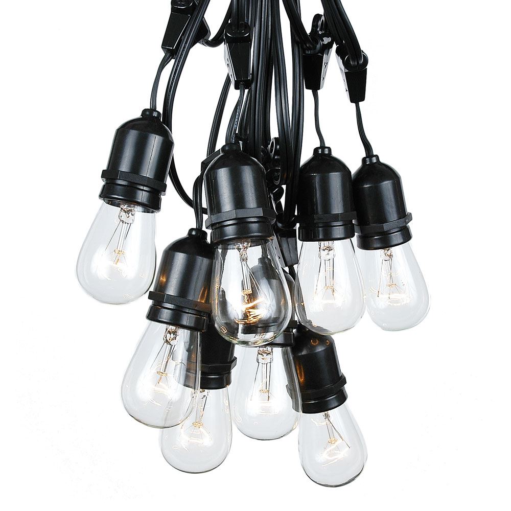 50 Clear S14 Suspended Heavy Duty String Light Sets on Black Wire ...