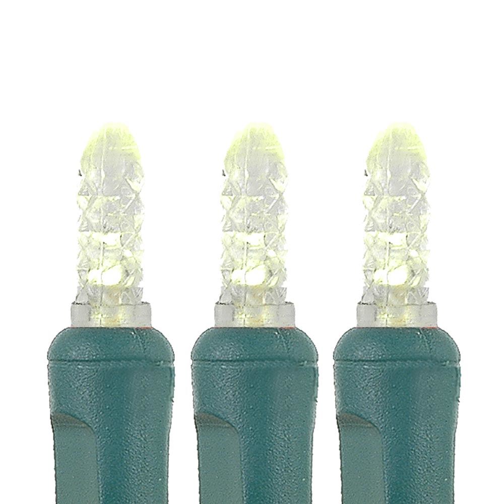 Griswold Approved 50 Warm White M8 LED Light Set - Novelty Lights ...