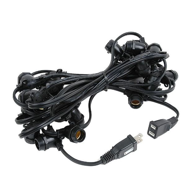 25' Commercial Outdoor String Lights With Intermediate Base on Black ...