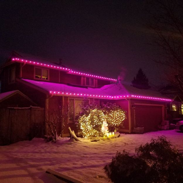 25 Pack of Transparent Purple C9 Christmas Replacement LampsNovelty ...