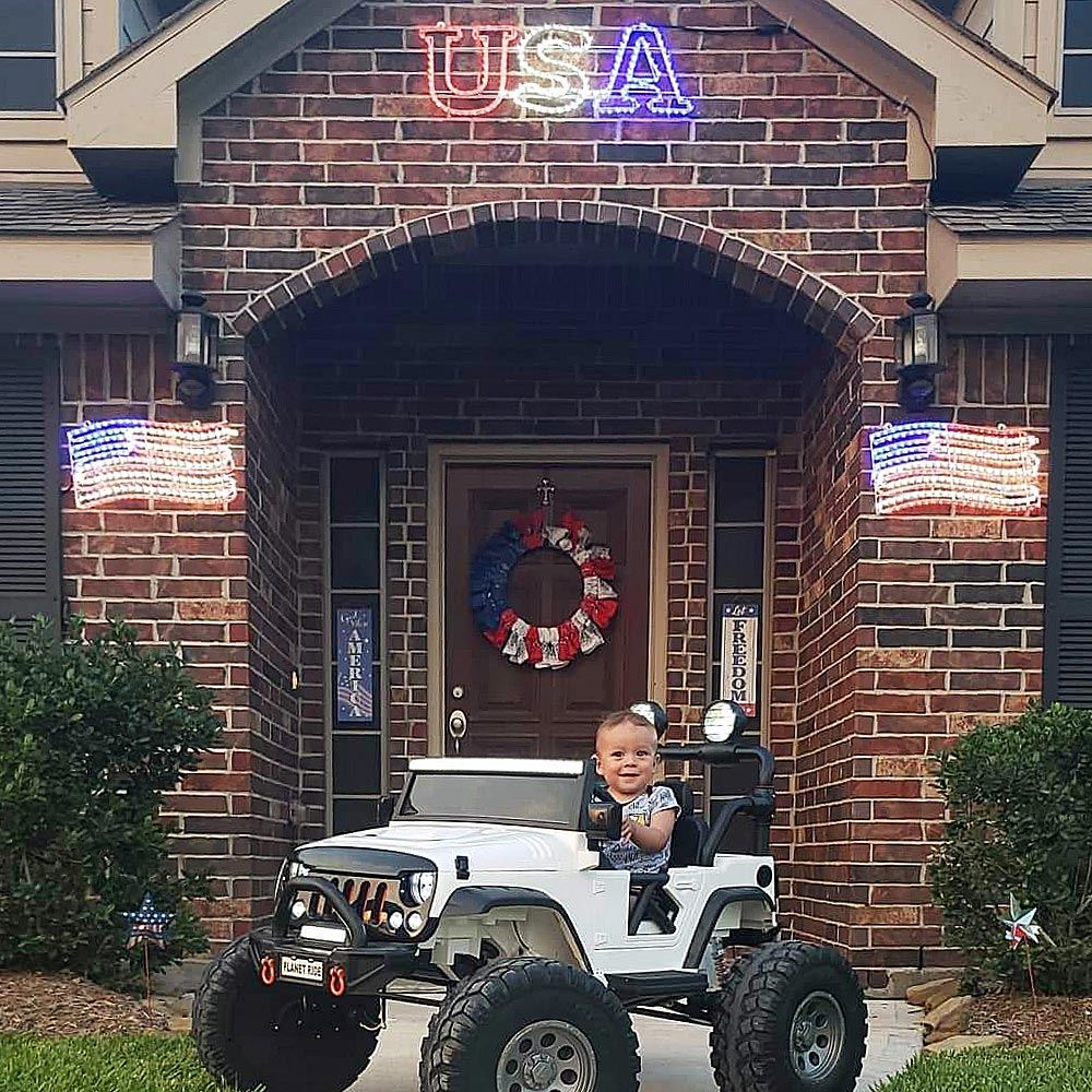 24" LED American Flag Patriotic Rope Light Motif - Novelty Lights ...