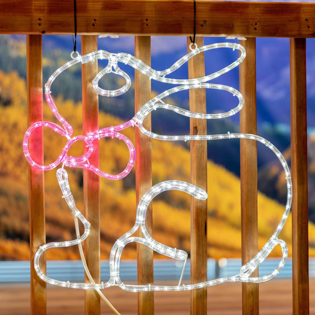 24" Easter Bunny LED Rope Light Motif - Novelty Lights IncNovelty ...