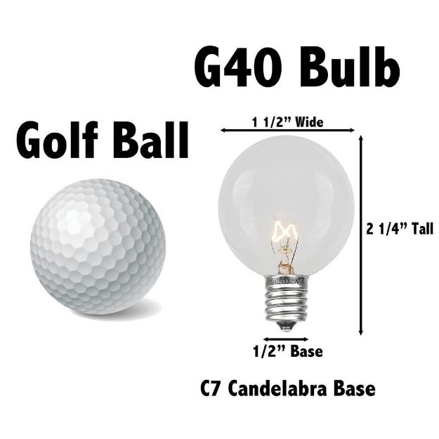 Warm White LED G40 Globe/Round Outdoor String Light Set on Black Wire ...