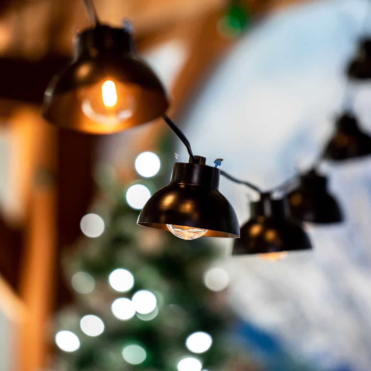 Warm White LED G40 Bell Lampshade Globe/Round Outdoor String Light Set ...