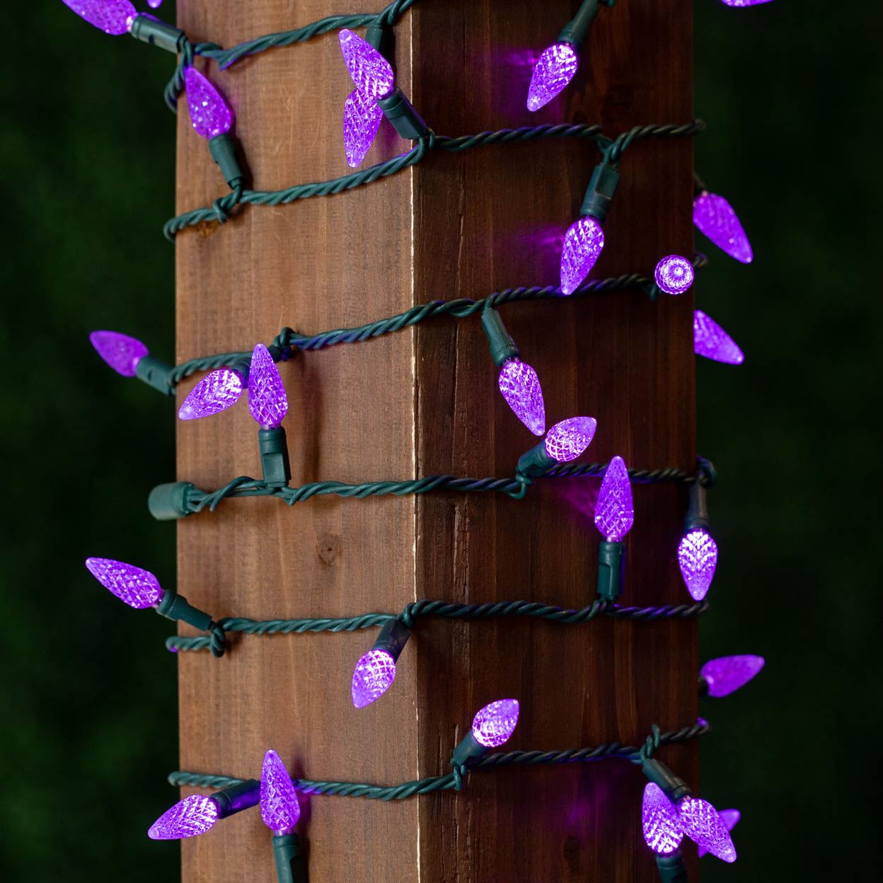 Commercial C6 LED 70 Light Purple Strawberry Mini LightsNovelty Lights ...