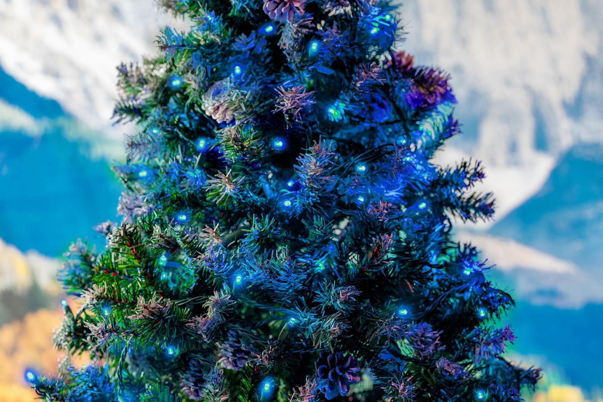 Wide Angle Teal 50 Bulb LED Christmas Lights SetsNovelty Lights | LED ...