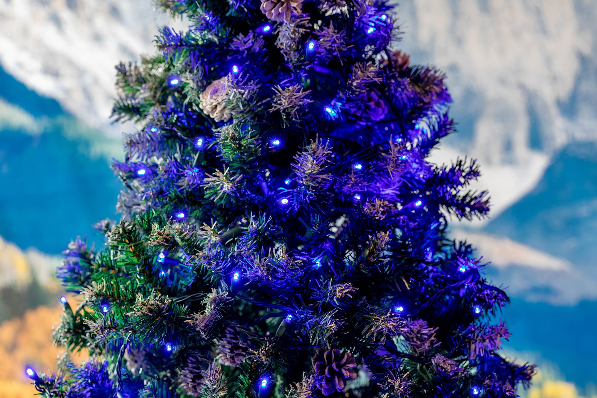 Wide Angle blue 100 Bulb LED Christmas Lights Sets 6" SpacingNovelty ...