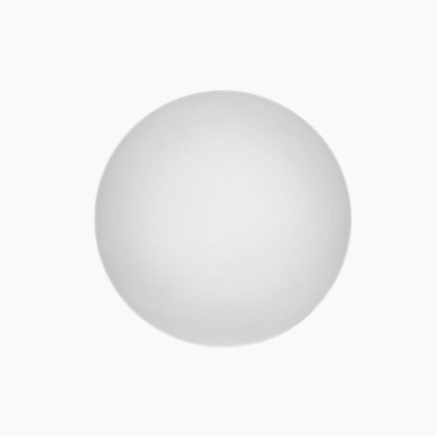 16" RGBW Sphere Light Rechargeable Color Changing LED with ...