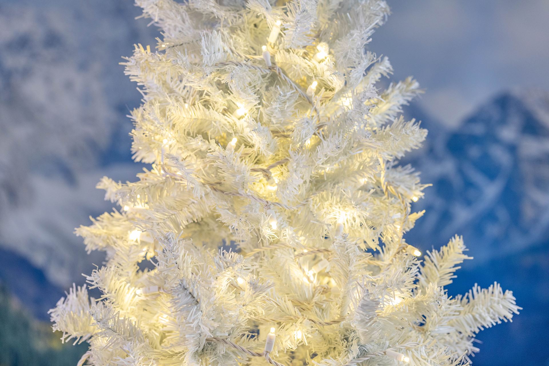 Wide Angle Warm White 100 Bulb LED Christmas Lights Sets on White ...
