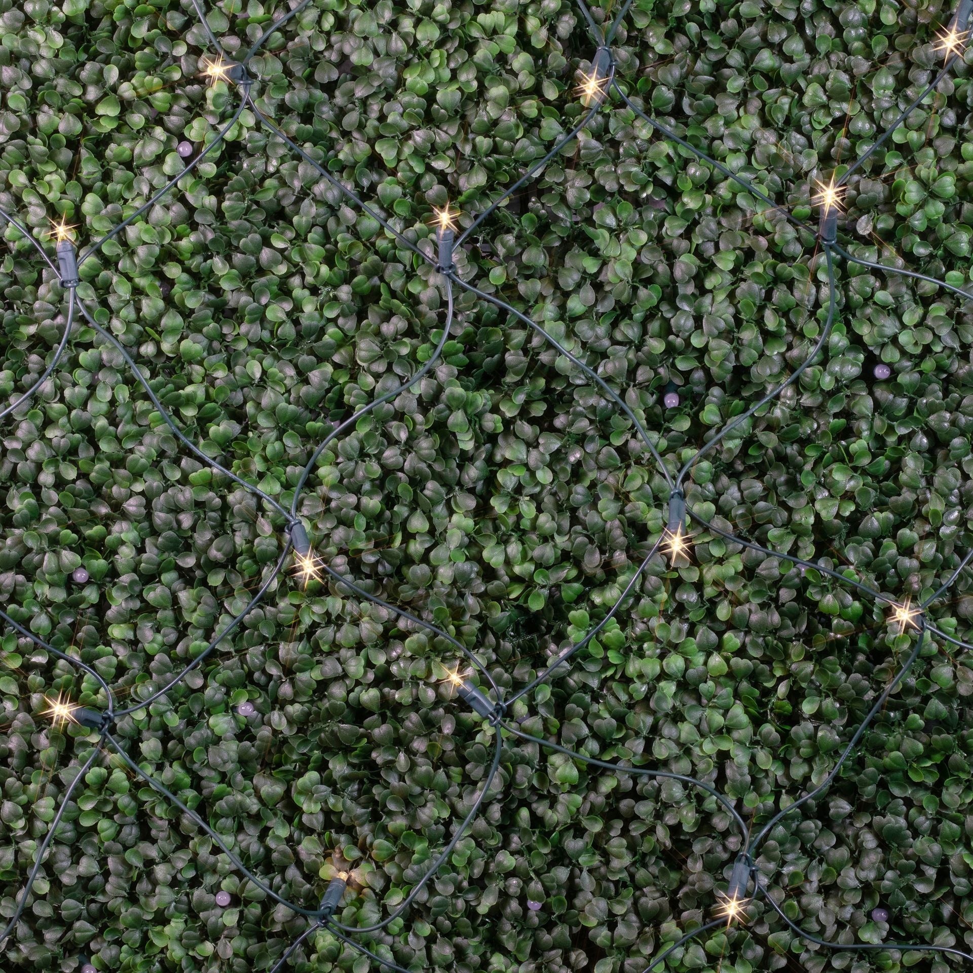 Warm White LED Net Lights 4' X 6' - Novelty Lights IncNovelty Lights ...