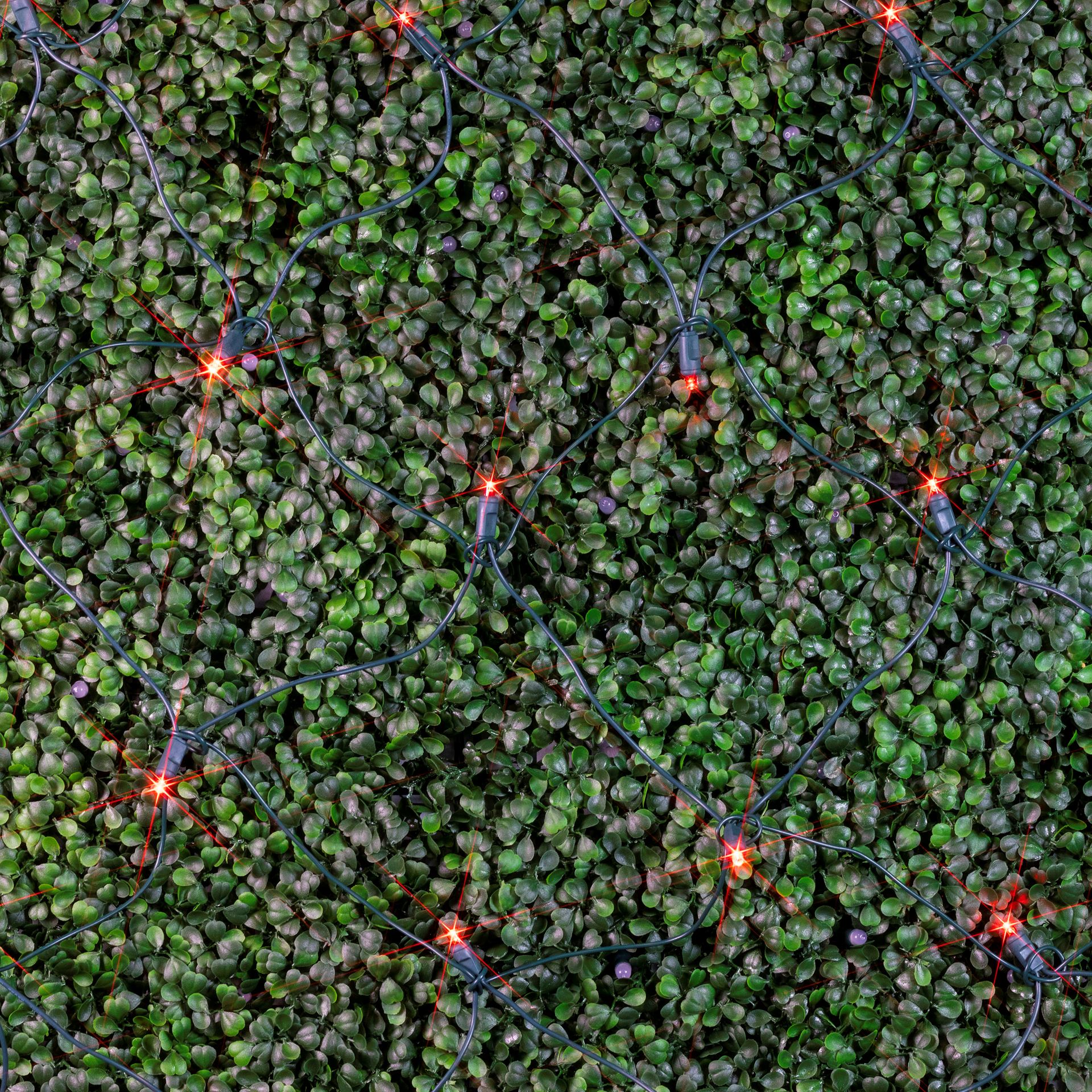 Red LED Net Lights 4' X 6' - Novelty Lights IncNovelty Lights | LED ...