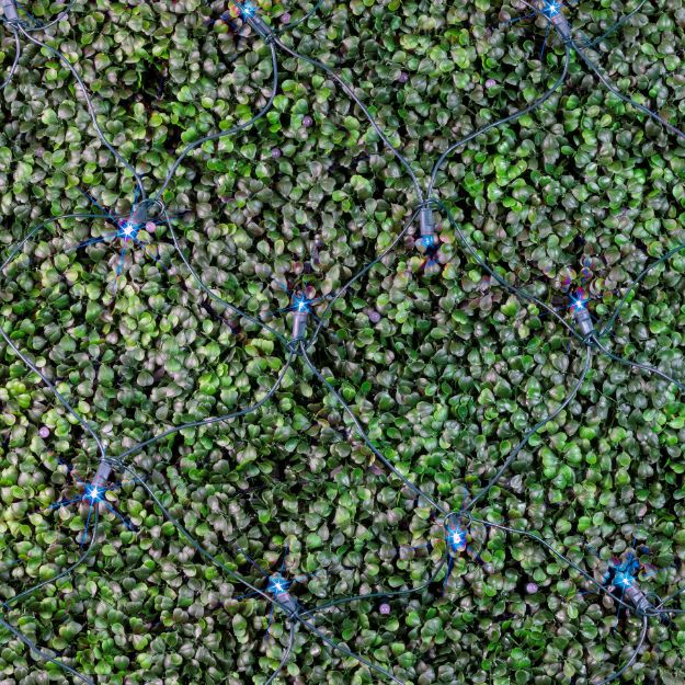 Blue LED Net Lights 4' X 6' - Novelty Lights IncNovelty Lights | LED ...