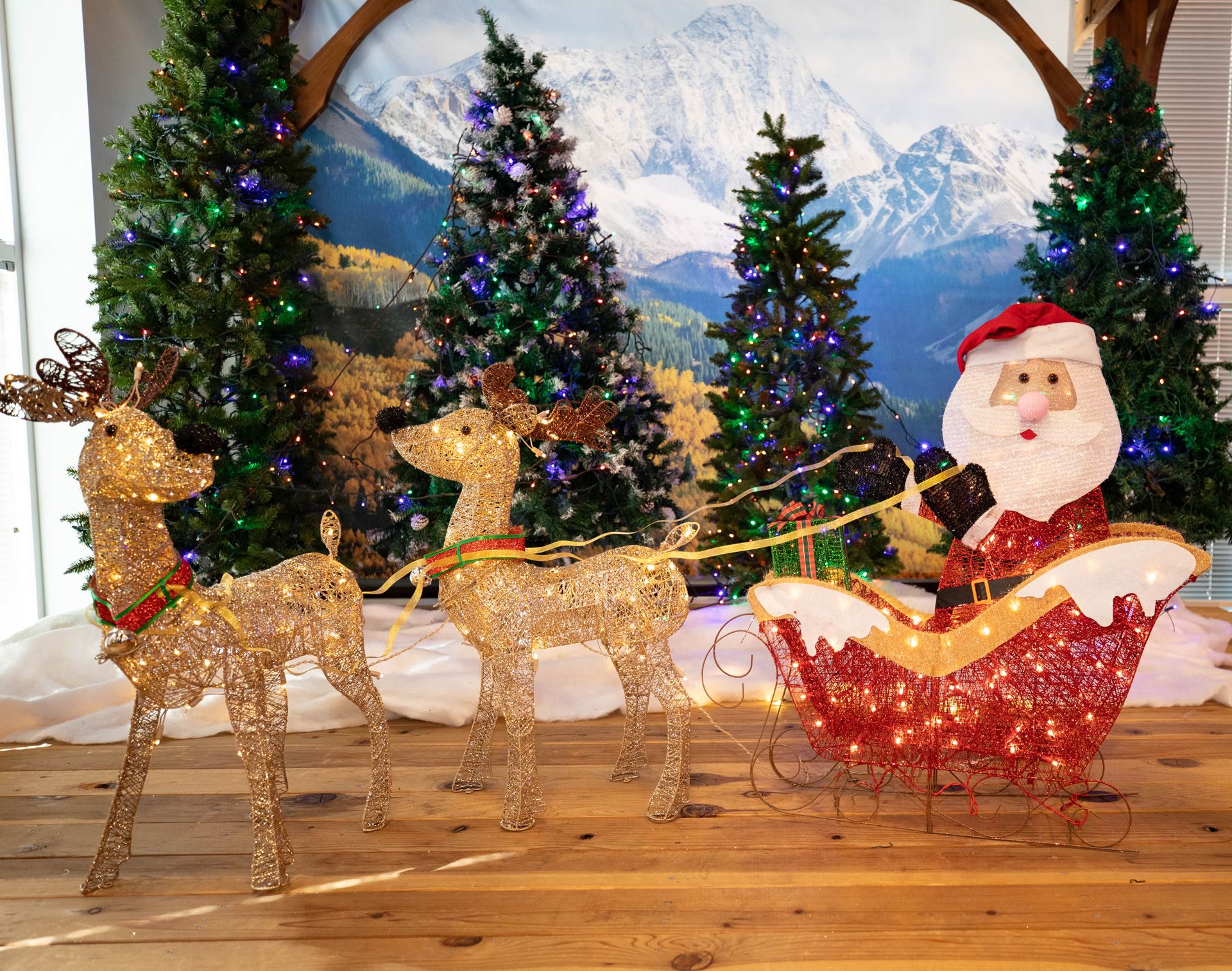 Pre-Lit Warm White 33.5 In. Santa & Reindeer Decoration - Novelty ...