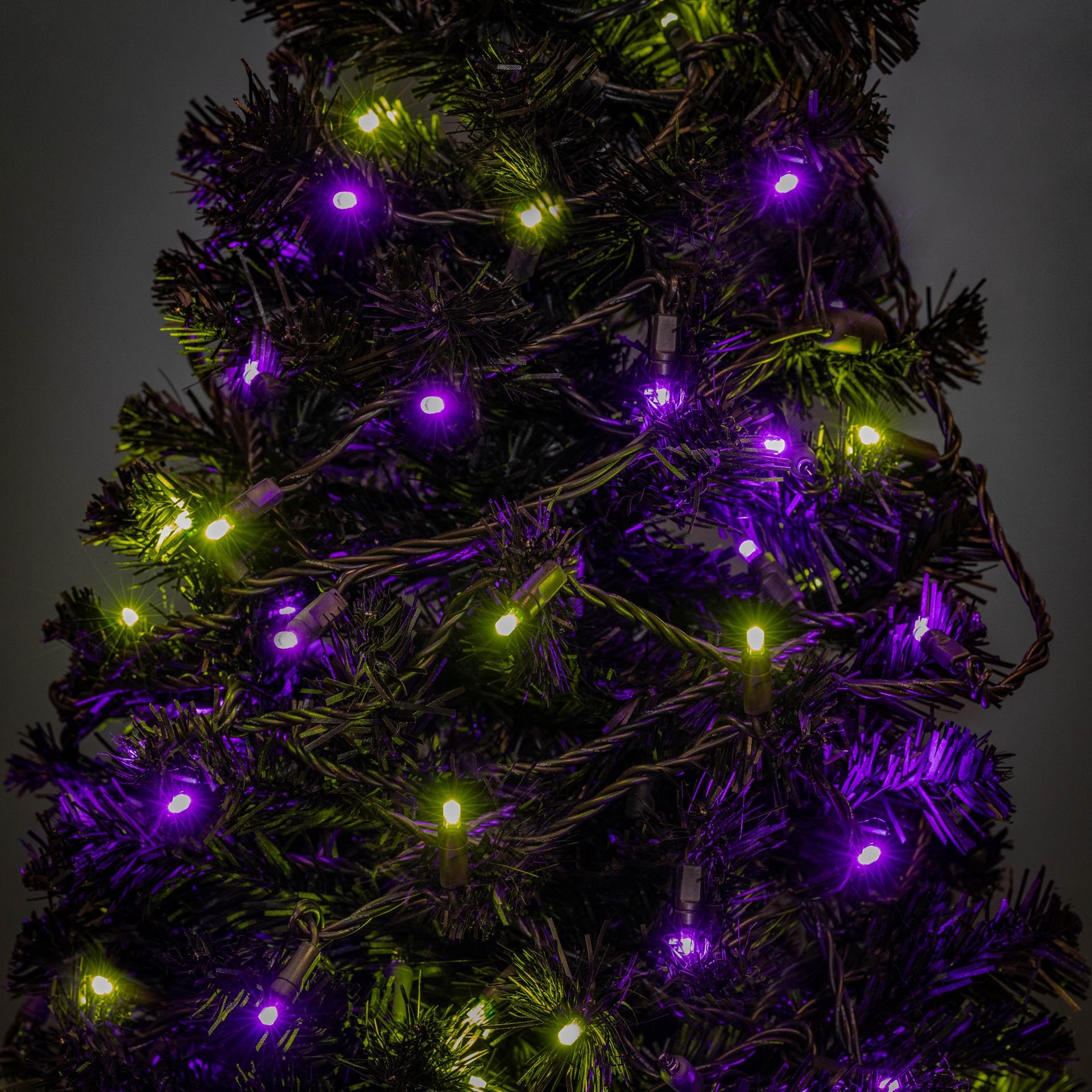 *NEW* True Twinkle LED Mini Lights 50 LED Purple & Lime 25' Long Black ...