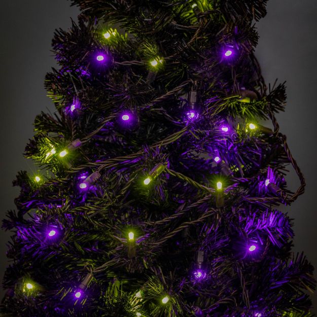 *NEW* True Twinkle LED Mini Lights 50 LED Purple & Lime 25' Long Black ...