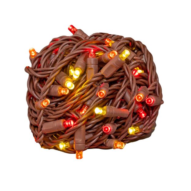 Wide Angle Yellow/Red/Orange 50 Bulb LED Thanksgiving Light SetsNovelty ...