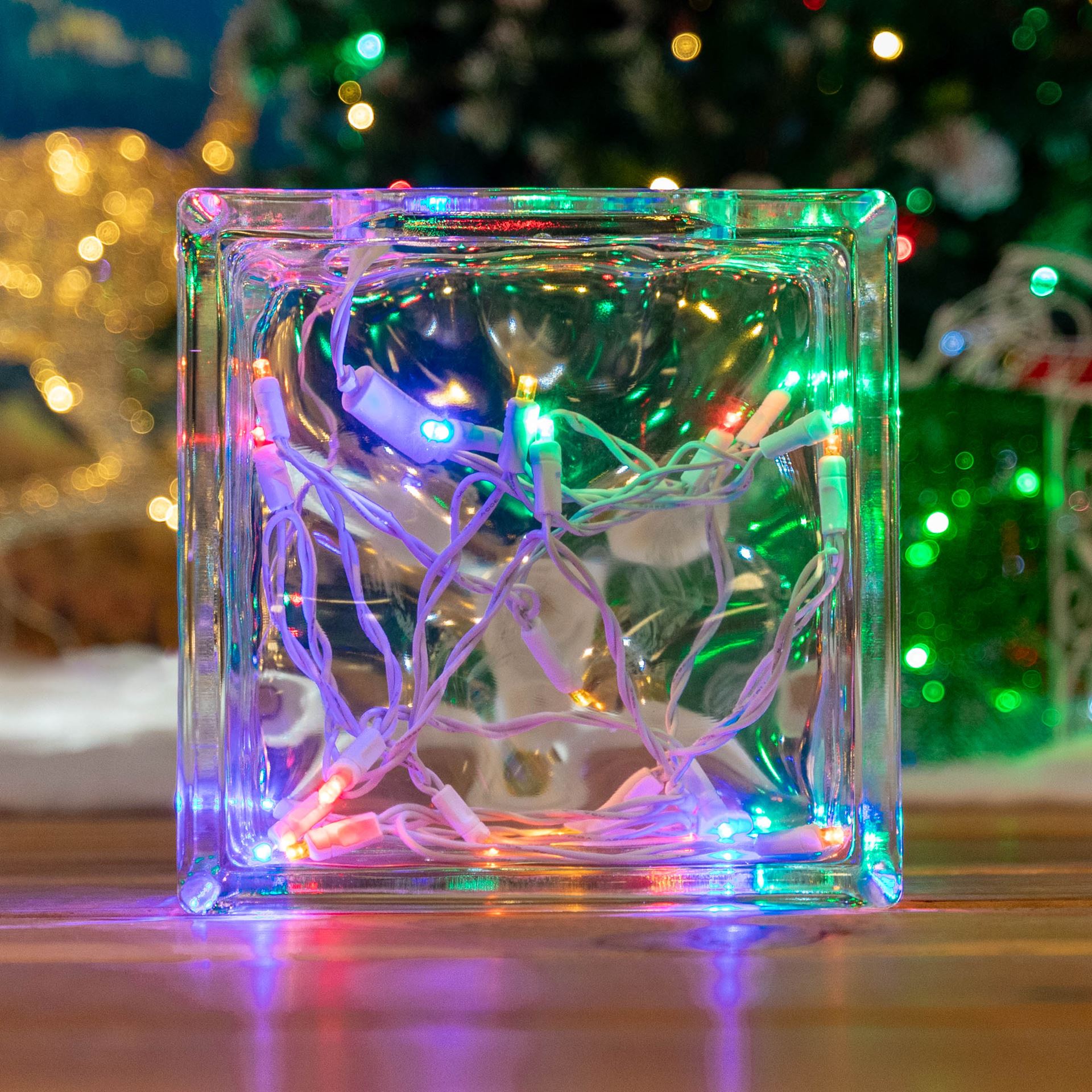 20 Light Multi LED Christmas Light Set Non-Connectable White Wire ...