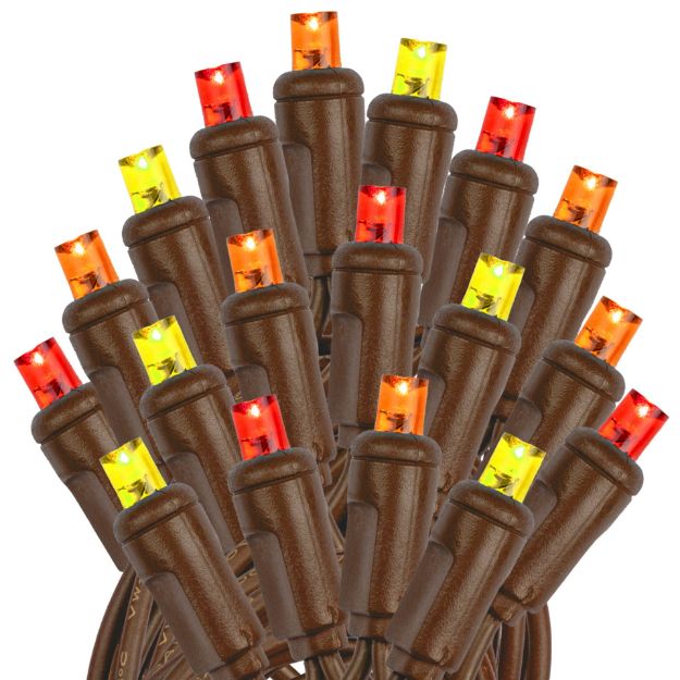 Wide Angle Yellow/Red/Orange 50 Bulb 25' LED Thanksgiving Light ...