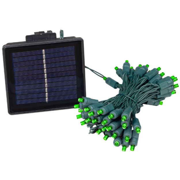 Green Solar Christmas lights with 50 Bulbs - Novelty Lights IncNovelty ...