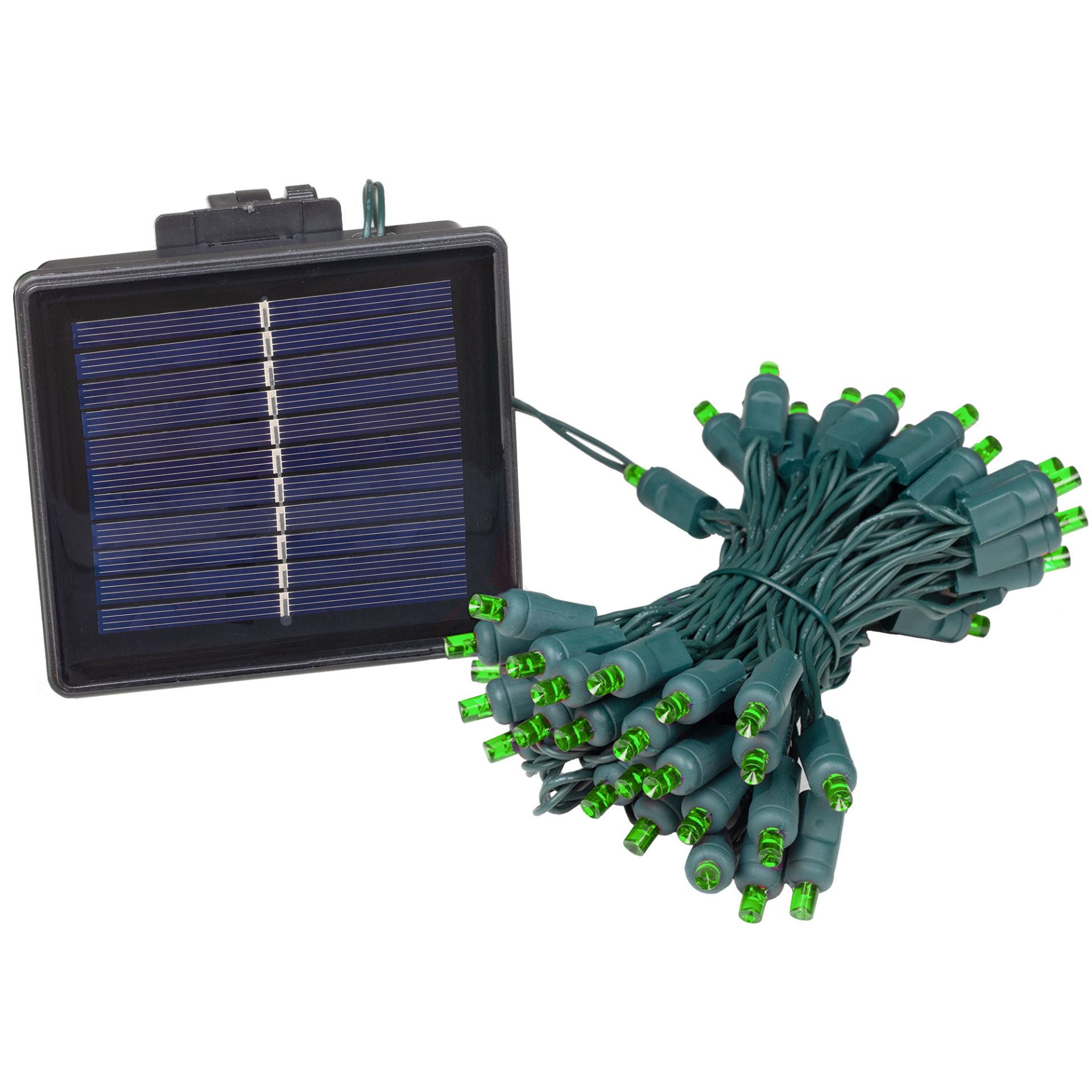 Green Solar Christmas lights with 50 Bulbs - Novelty Lights IncNovelty ...