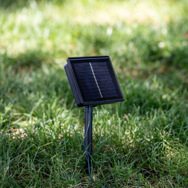 Green Solar Christmas lights with 50 Bulbs - Novelty Lights IncNovelty ...