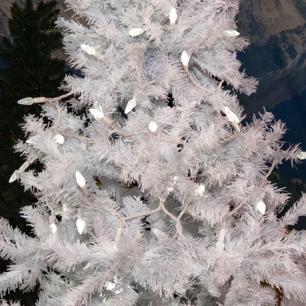 True Twinkle Commercial C6 LED 70 Light Pure White Strawberry Mini ...