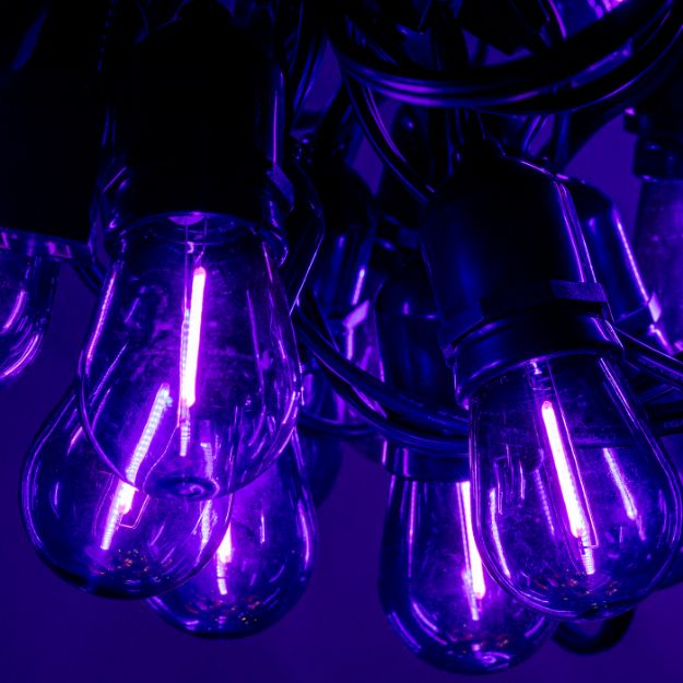 Purple LED S14 Bulbs with Filament LED - Novelty Lights IncNovelty ...