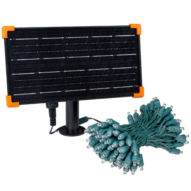*NEW* True Twinkle Warm White Solar Christmas lights with 100 Bulbs ...