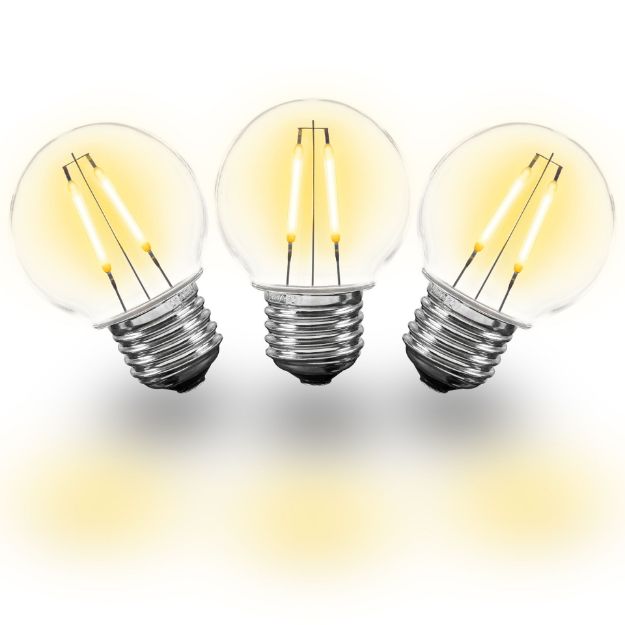 Dual Filament Warm White LED G50 Plastic Globe Bulbs - Novelty ...