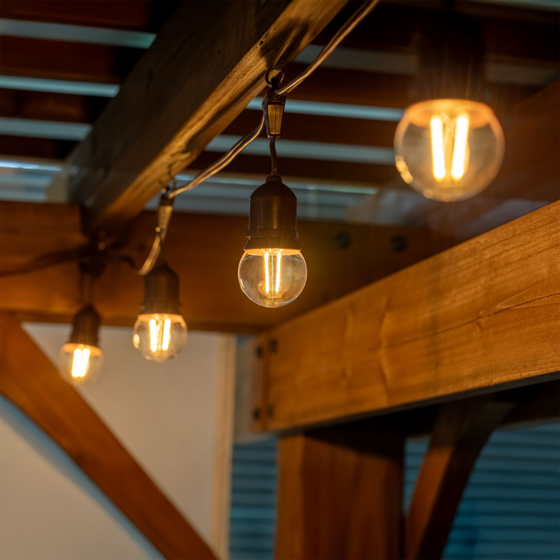 Dual Filament Warm White LED G50 Plastic Globe Bulbs - Novelty ...