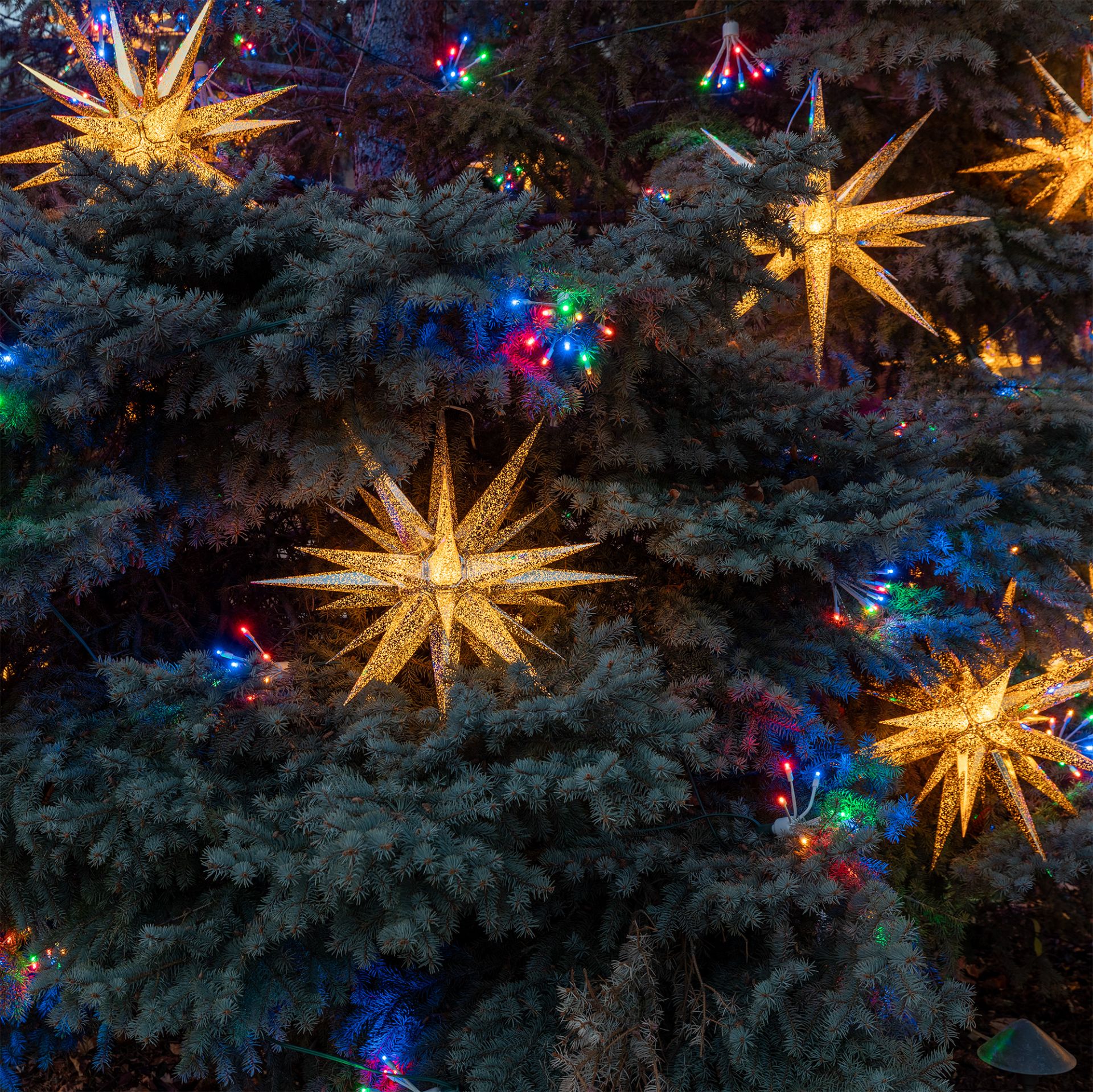 24″ LED Moravian Star – Metallic Silver | Outdoor & Indoor Decorative ...